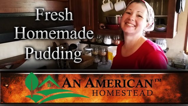 Fresh Homemade Pudding Recipe – An American Homestead Off Grid ...