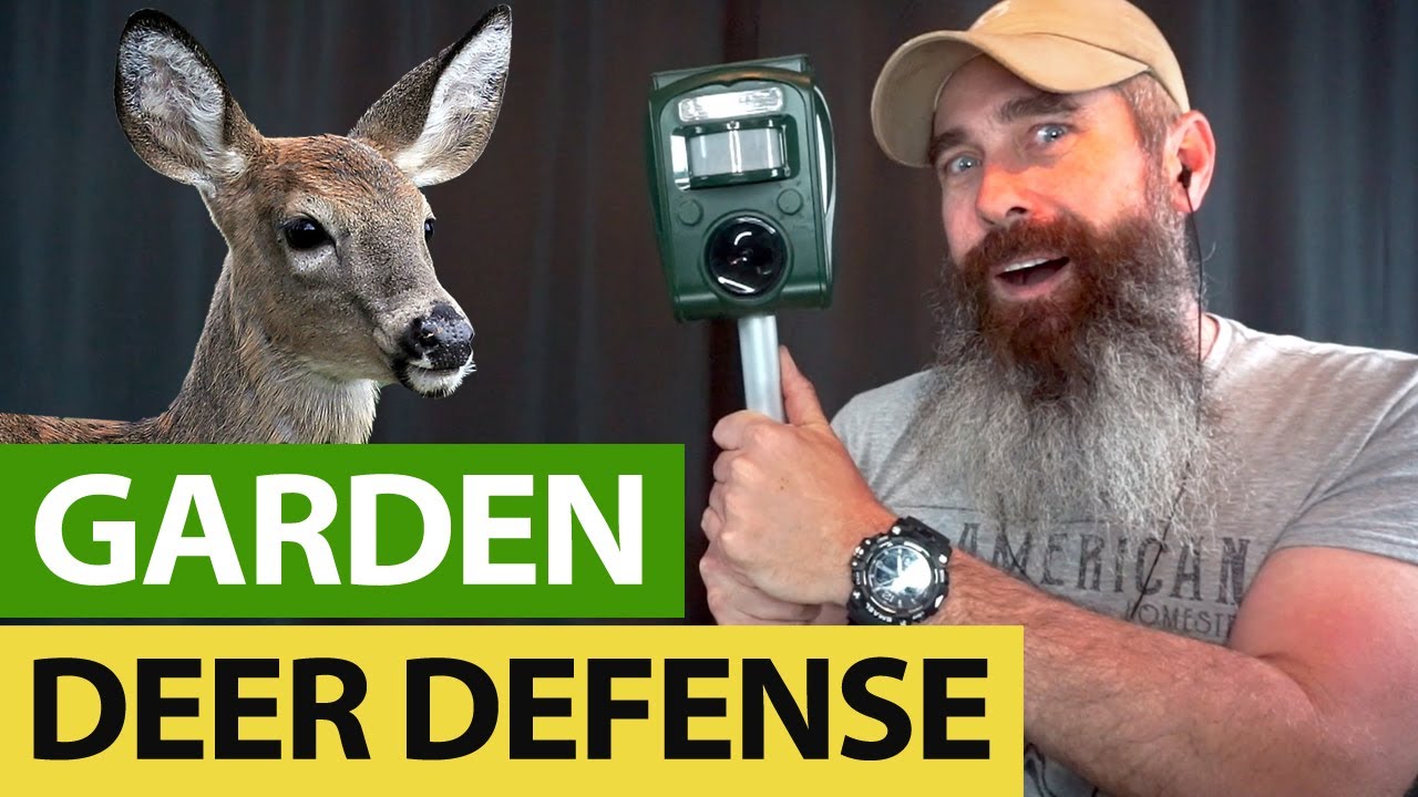 A Few Ways To DEFEND Your Garden – An American Homestead Off Grid ...