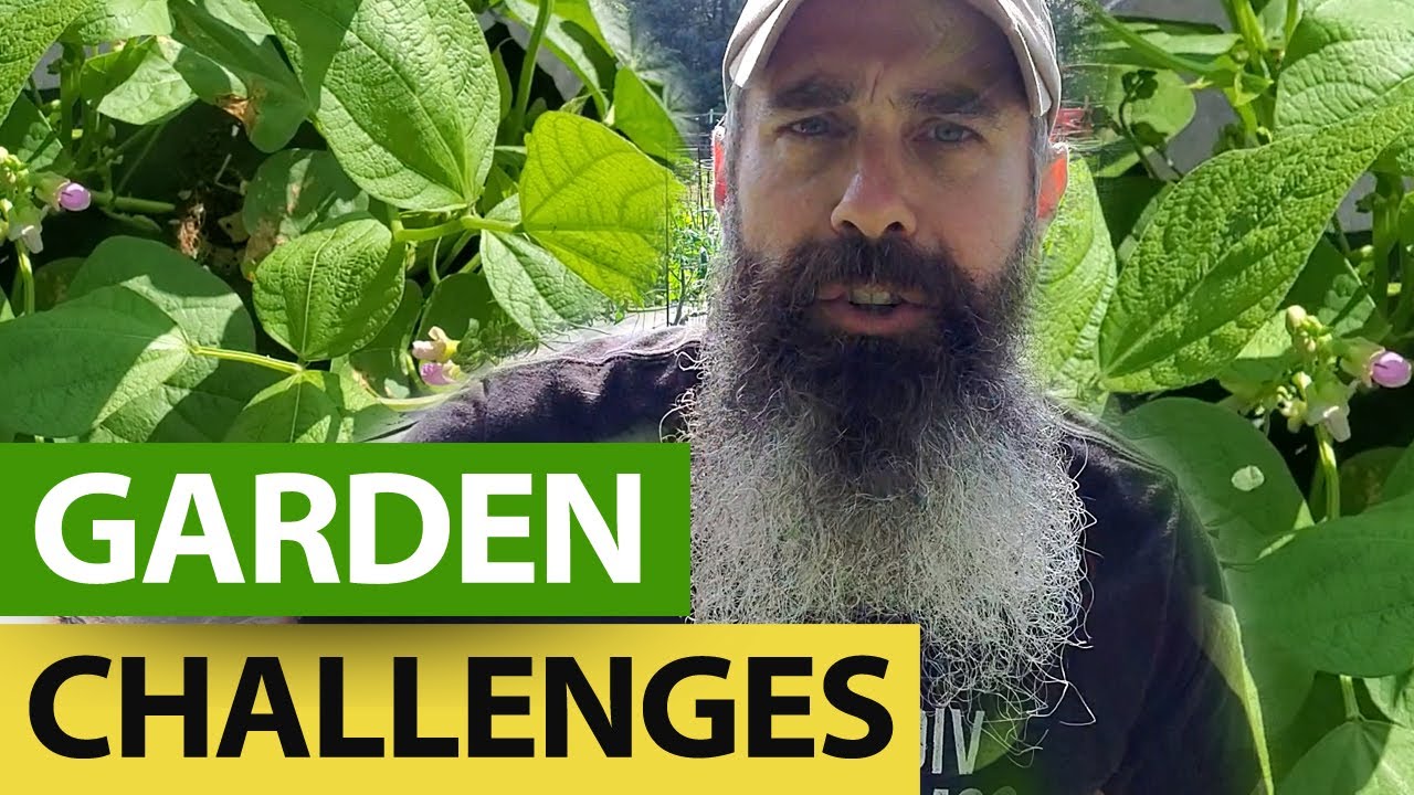 Garden Challenges In 2023 – WATER and ELECTROCULTURE – An American ...
