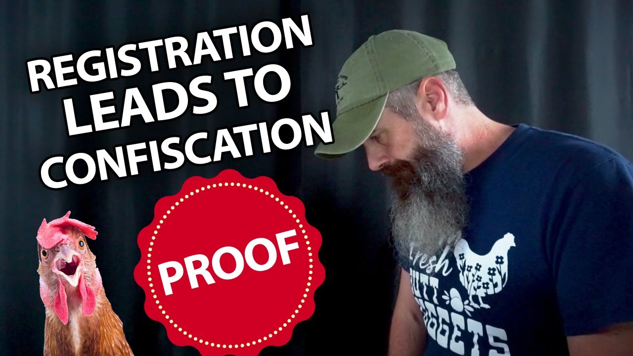 Economy Is CRACKING UP! – Signs Of Collapse – An American Homestead Off ...