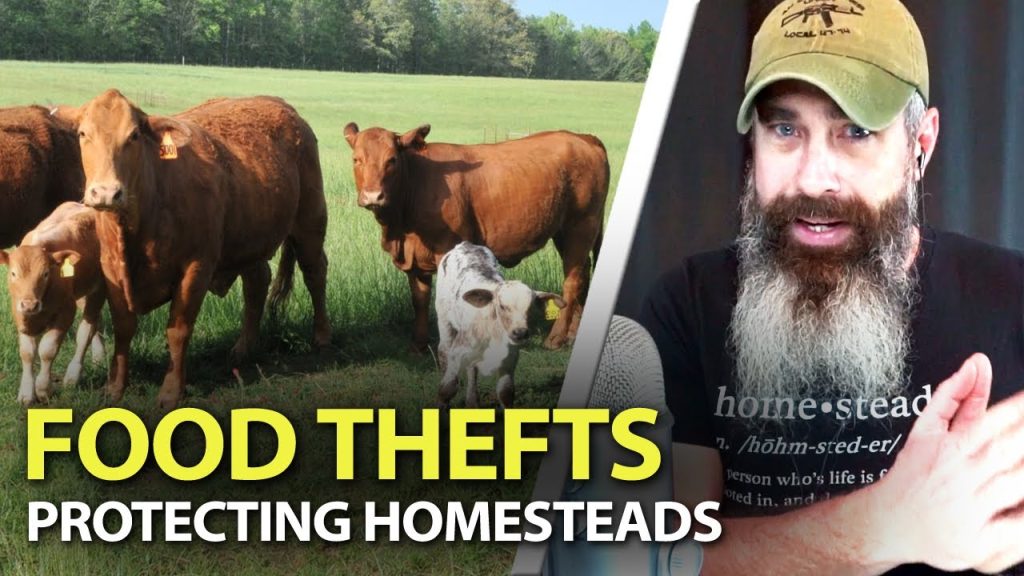 Off Grid Homesteading – An American Homestead Off Grid Homesteading In ...