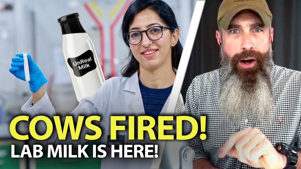 An American Homestead Off Grid Homesteading In The Ozarks