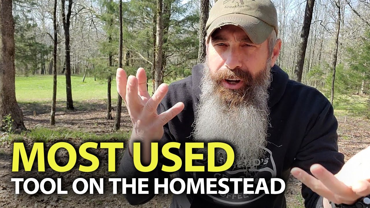Welcome To An American Homestead – An American Homestead Off Grid ...